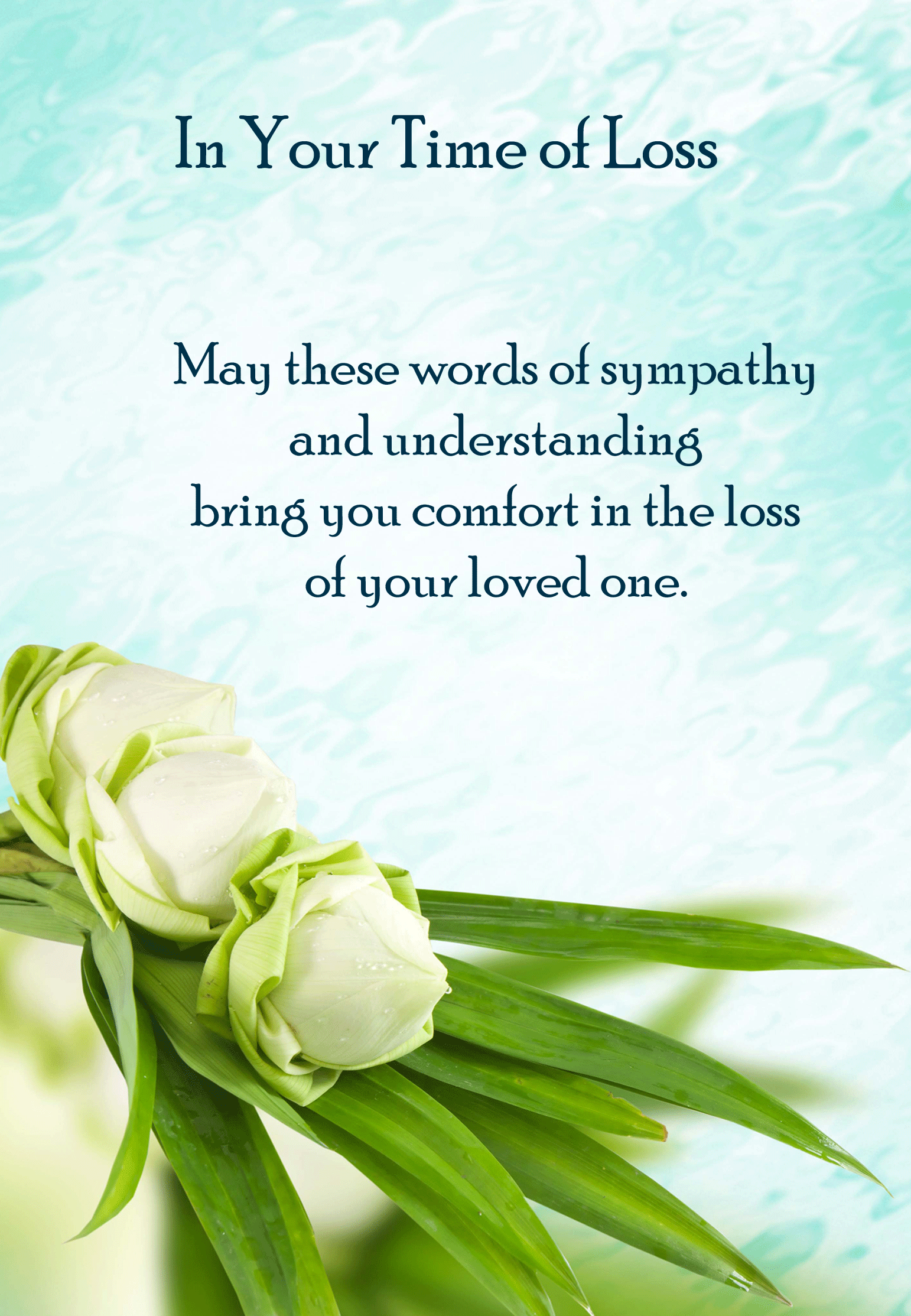 Sympathy Religious Cards SY71 Pack Of 12 2 Designs