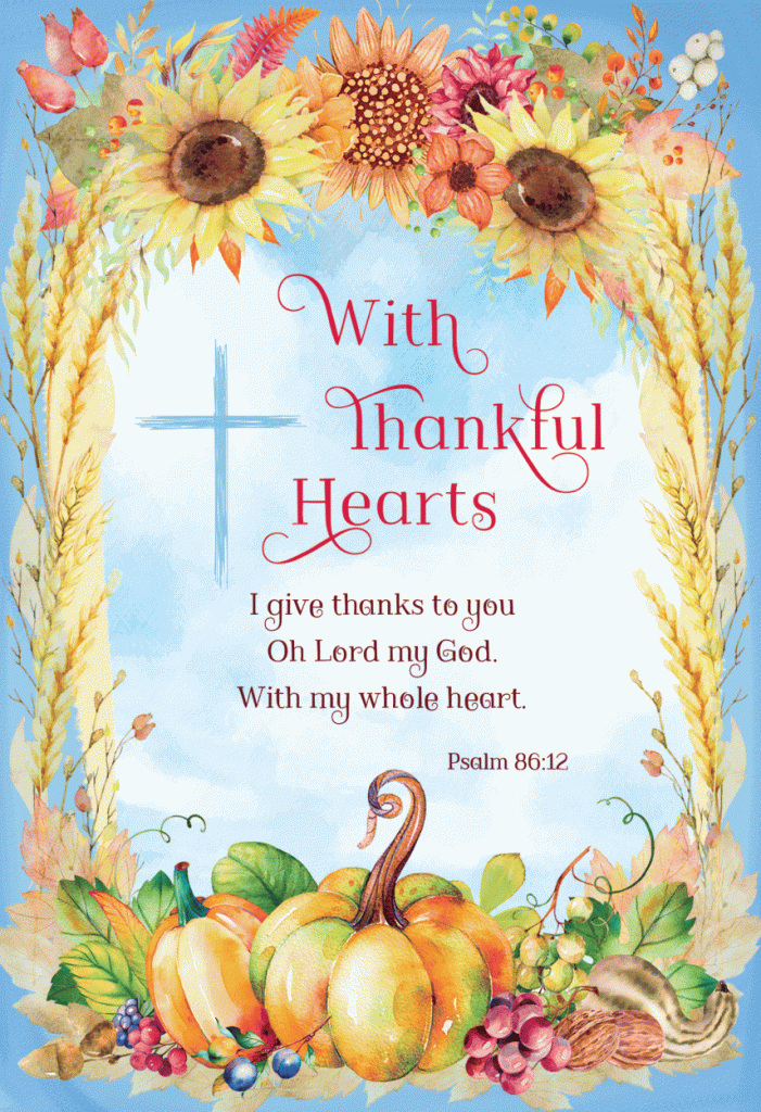 Thank You - Religious Cards - TU31 Pack of 12 2 designs